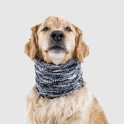 CANADA POOCH | Chenille Snood in Grey Mix | DOG & CO.