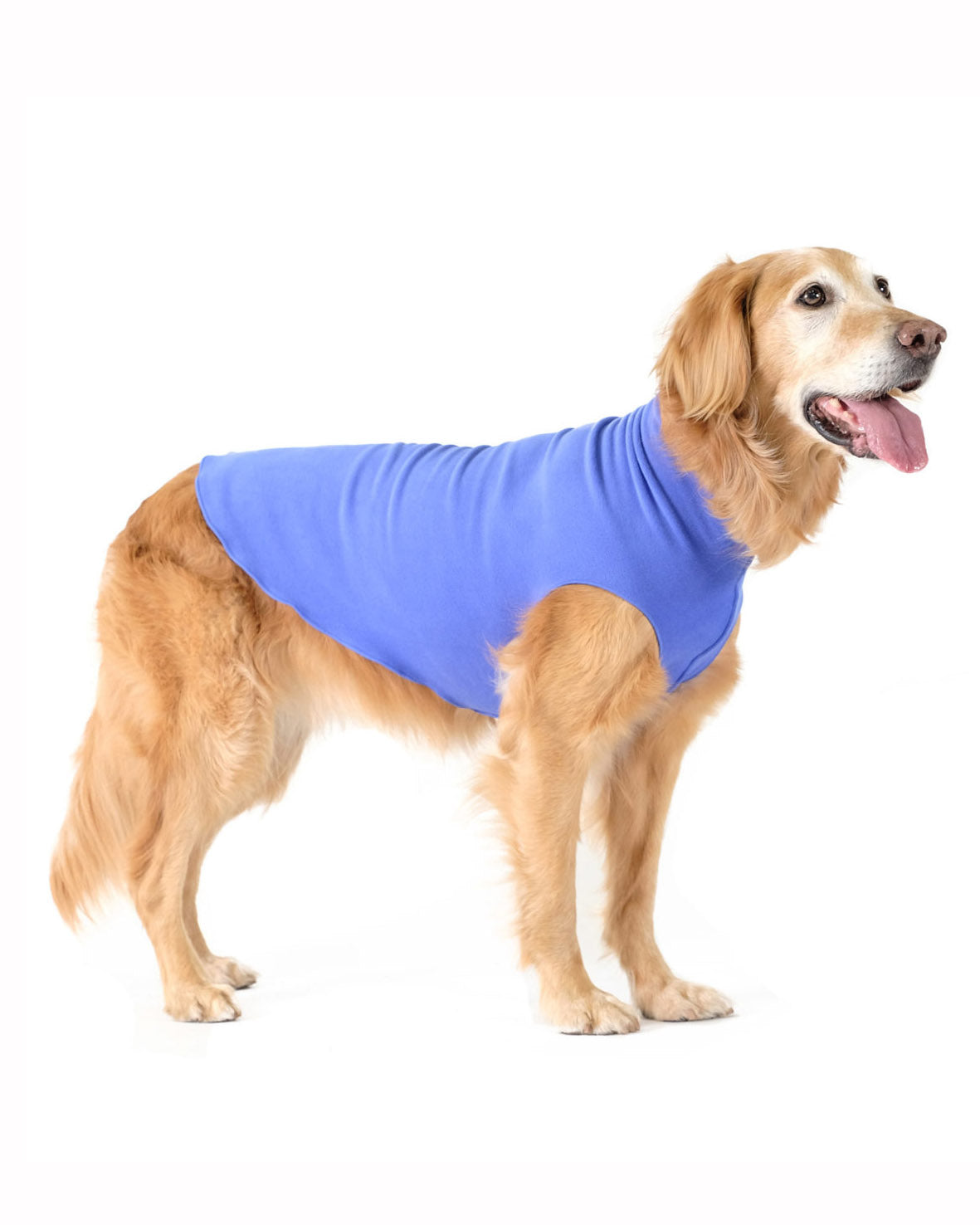 GOLD PAW | Stretch Fleece in Cornflower Blue | DOG & CO.