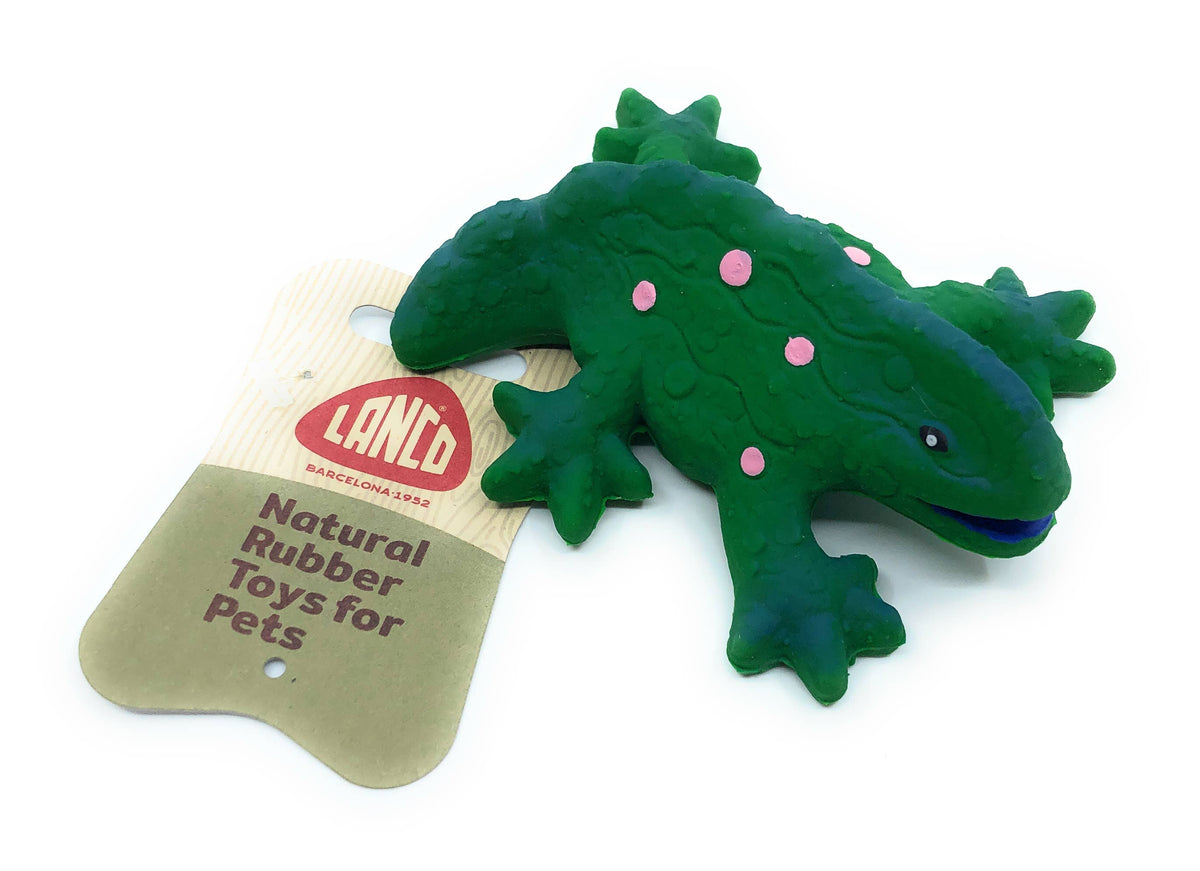 Small Squeaky Lizard | DOG & CO.