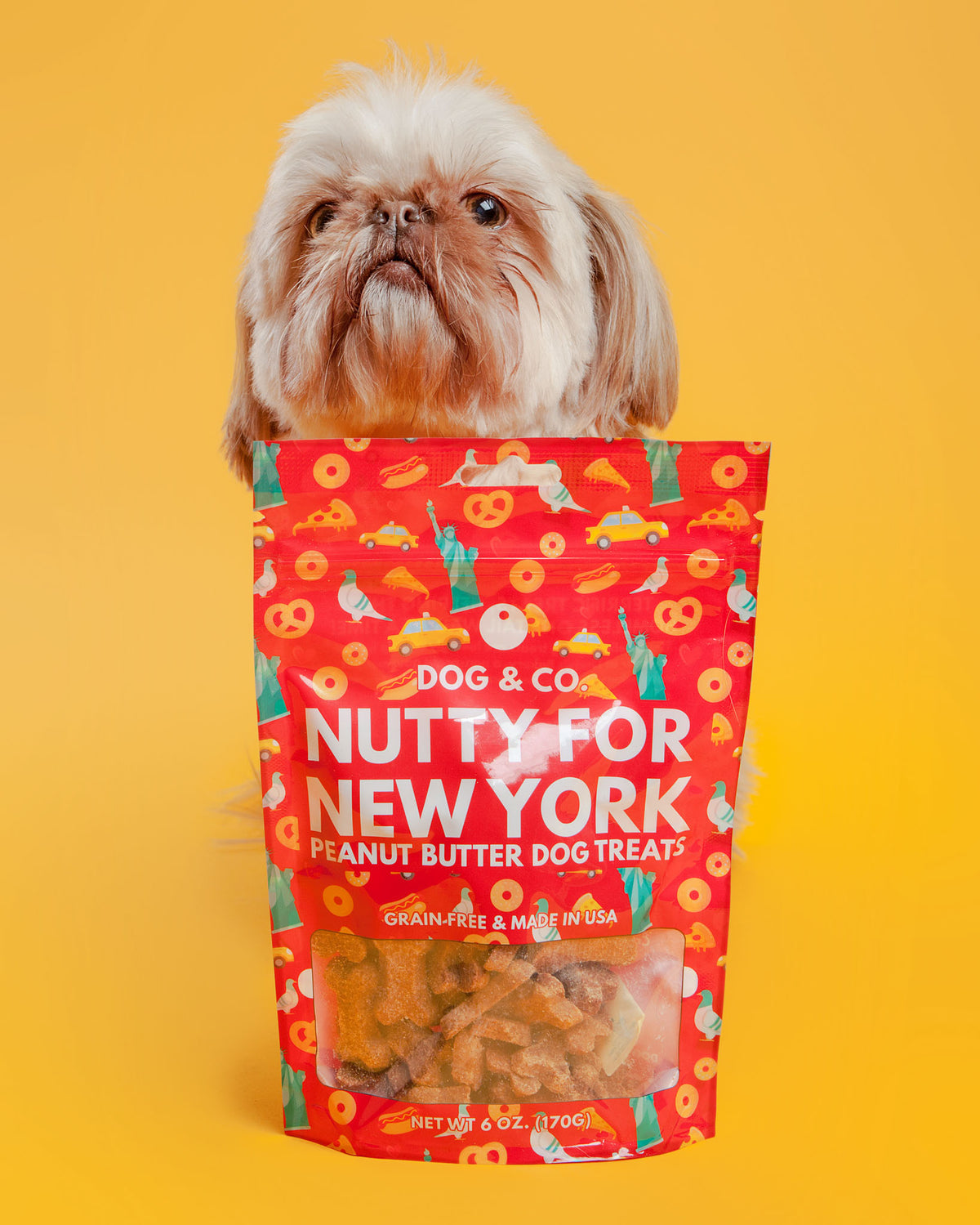Nutty for New York Peanut Butter Dog Treats | DOG & CO.