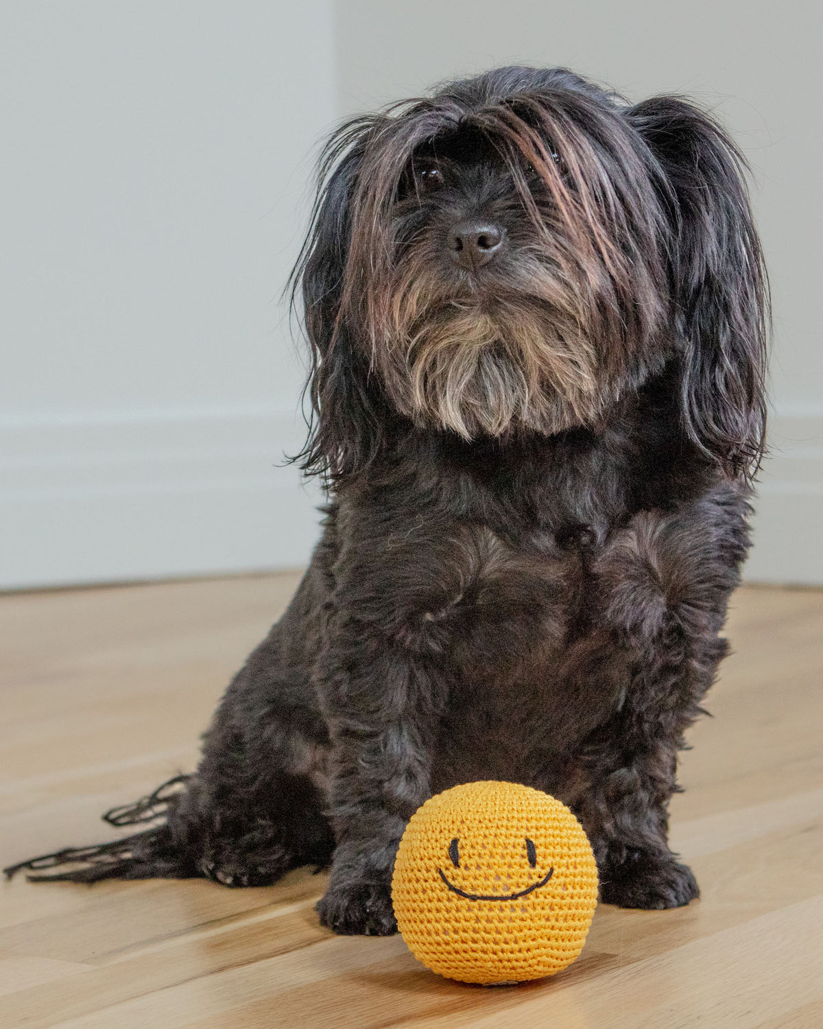 Smiley Face Dog Knit Squeaker Toy in Yellow | DOG & CO.