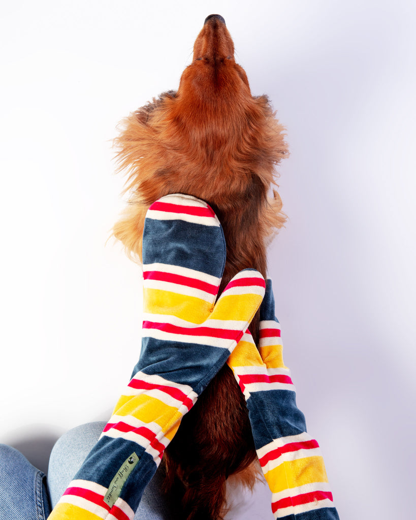 RUFF & TUMBLE | Dog Drying Mitts | DOG & CO.