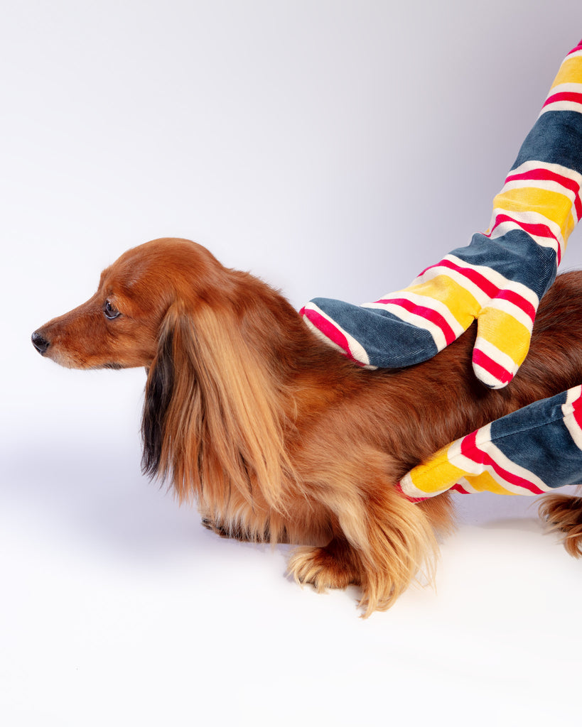 RUFF & TUMBLE | Dog Drying Mitts | DOG & CO.