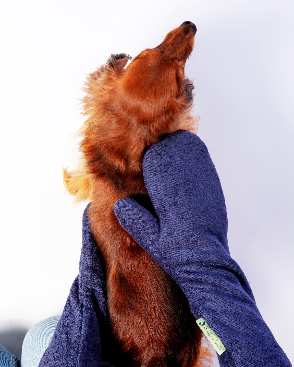 RUFF & TUMBLE | Dog Drying Mitts | DOG & CO.
