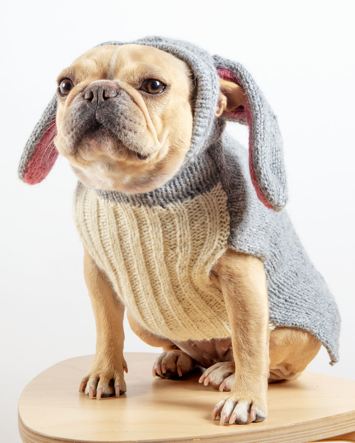 PERUVIAN KNITS | Earresistable Bunny Hand Knit Dog Sweater (Dog & Co ...