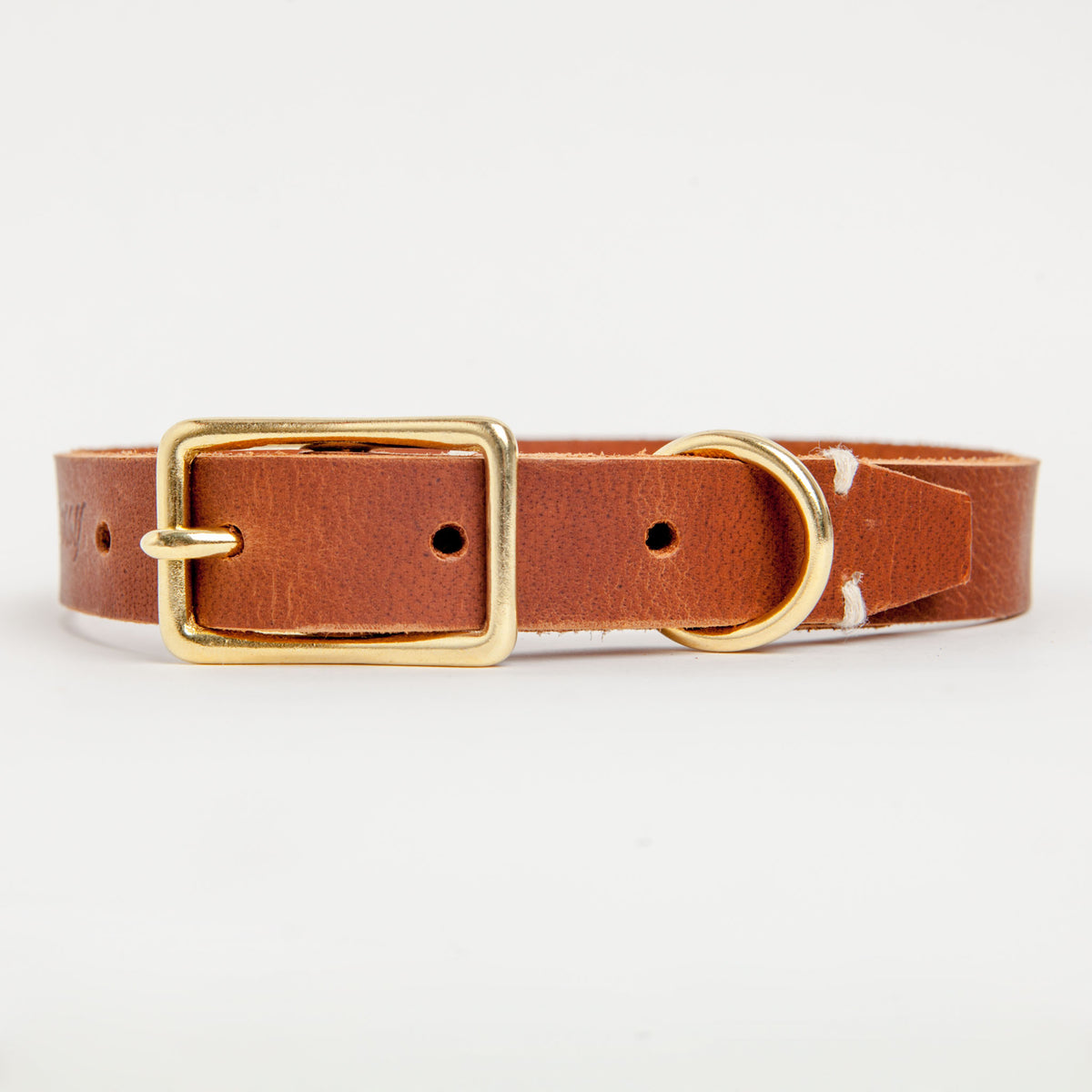 BILLY WOLF | Rambler Collar in Terra | DOG & CO.