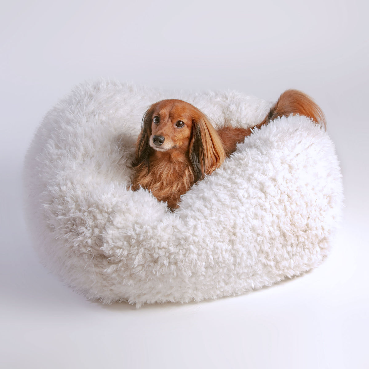 Pod Bed in Ivory (Custom/Direct-Ship) (Made in the USA) | DOG & CO.