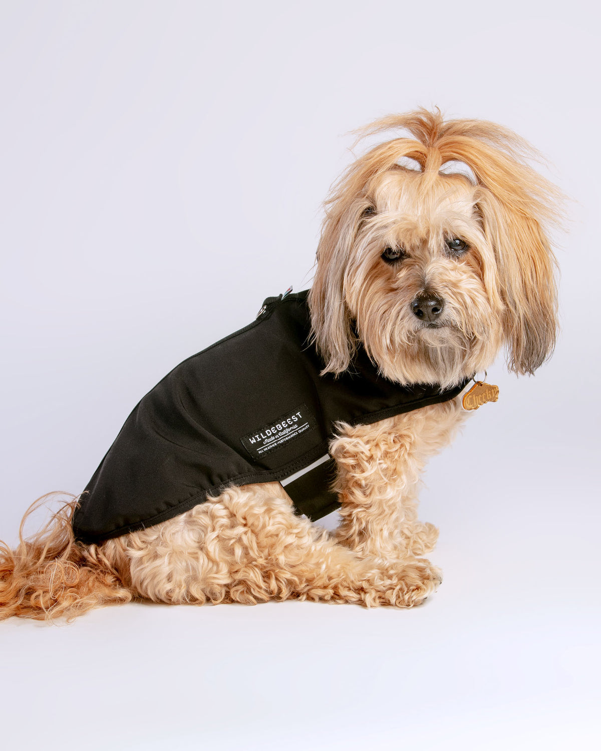 WILDEBEEST | All Weather Jacket in Black (Made in the USA) | DOG & CO.