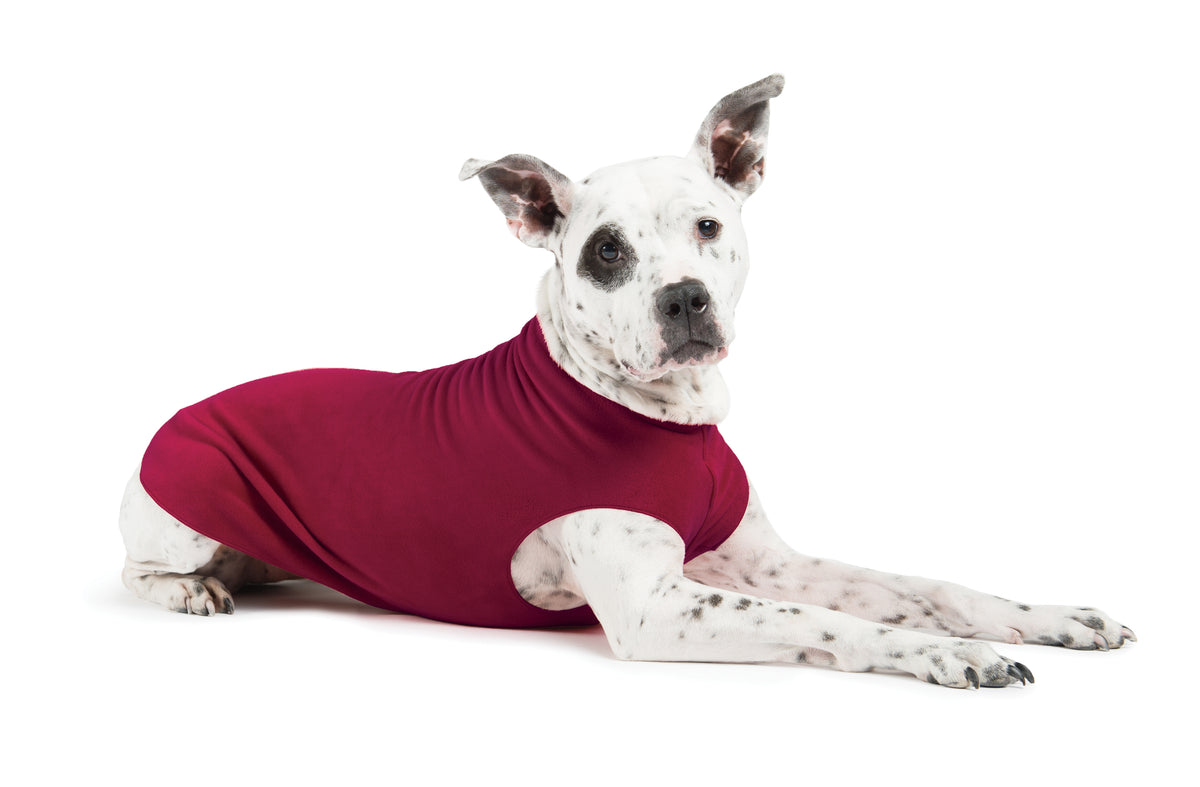 GOLD PAW | Stretch Fleece in Garnet | DOG & CO.