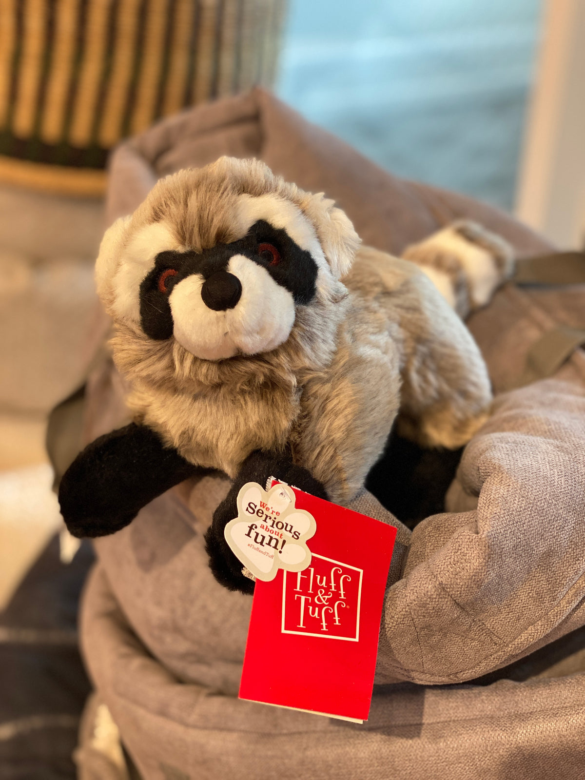 FLUFF & TUFF | Rocket the Raccoon Squeaky Dog Toy | DOG & CO.
