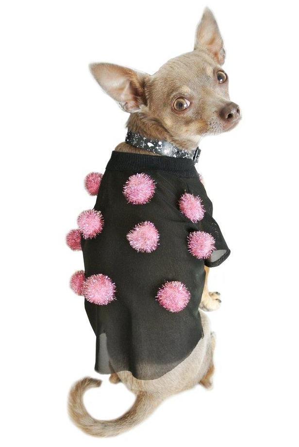 EYE OF DOG | Lil' Pop-pa Shirt | DOG & CO.