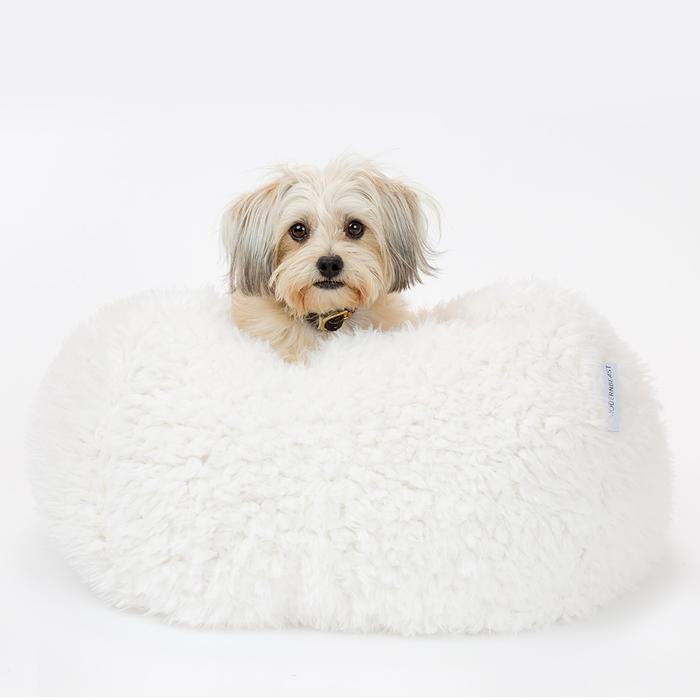 Pod Bed in Ivory (Custom/Direct-Ship) (Made in the USA) | DOG & CO.