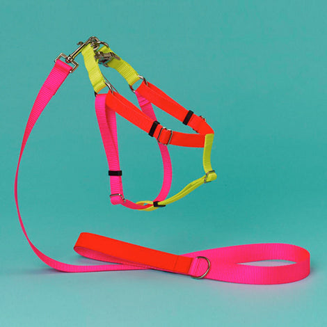 WARE OF THE DOG | Colorblock Harness in Pink | DOG & CO.