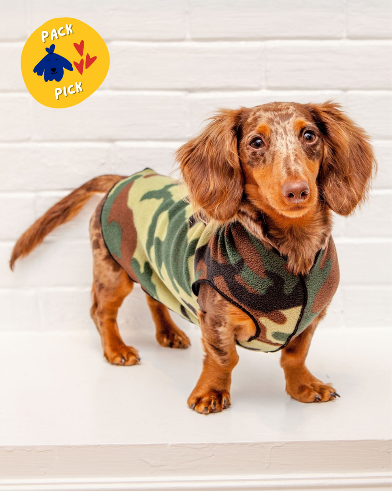 GOLD PAW | Stretch Fleece in Cornflower Blue | DOG & CO.
