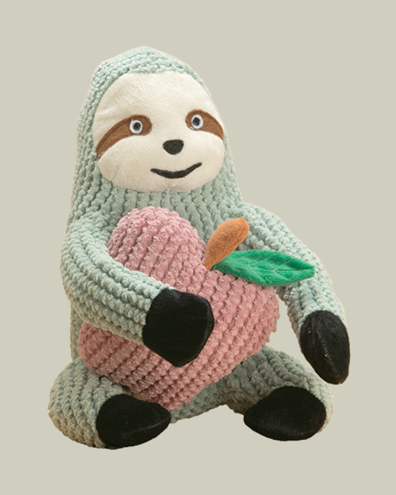 PATCHWORK PET | Sydney the Sloth Crunchy Plush Dog Toy | DOG & CO.