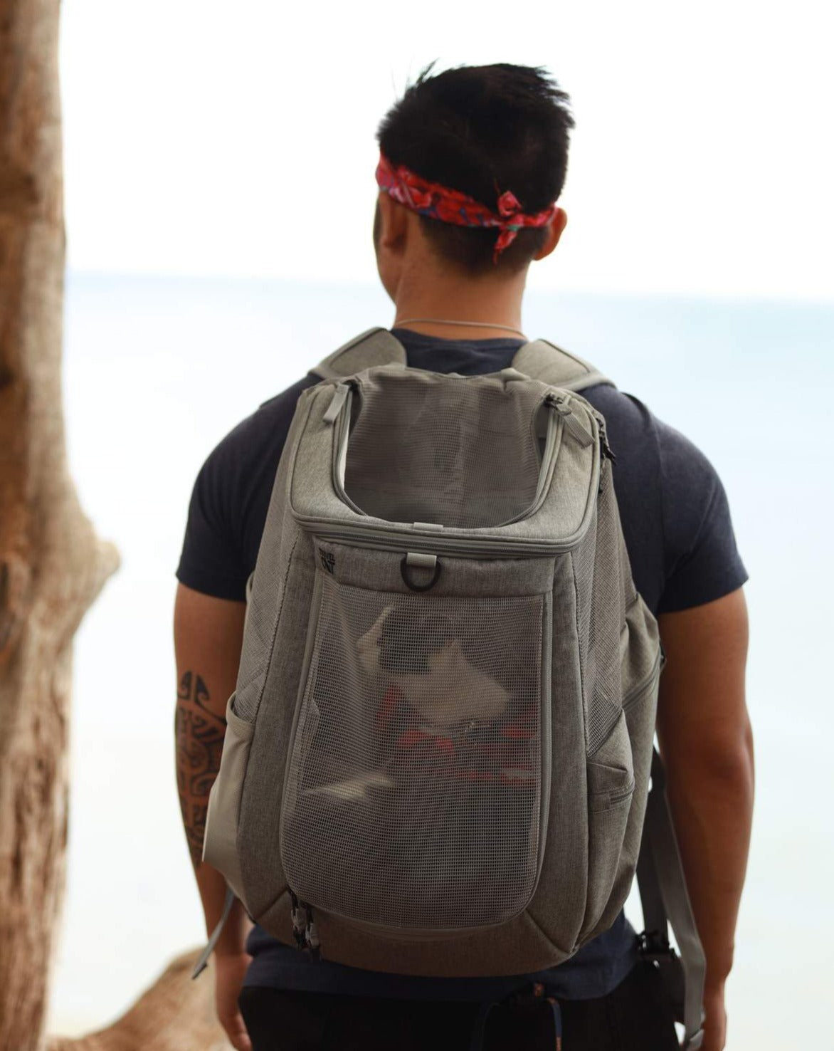 YOUR CAT BACKPACK | The Navigator Convertible Cat Backpack | DOG & CO.