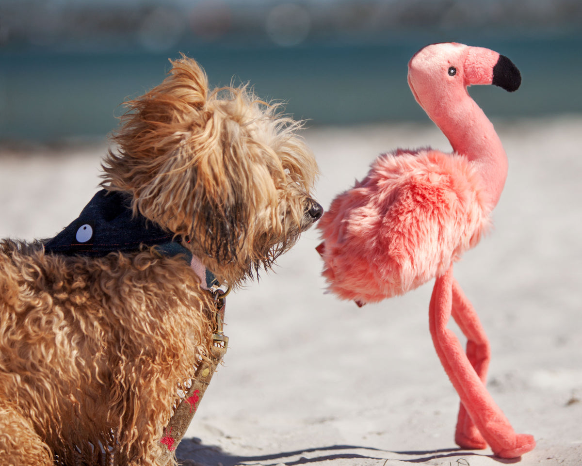 FLUFF & TUFF | Lola the Flamingo Dog Toy | DOG & CO.