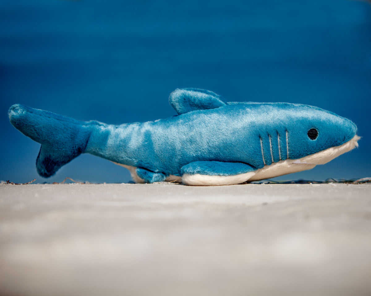 FLUFF & TUFF | Tank the Shark Plush Squeaky Dog Toy | DOG & CO.